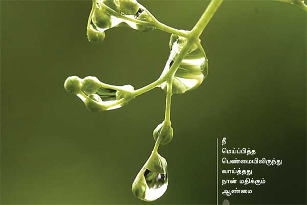 Tamil | Arivumathi | Poem | Friendship | Natpukaalam
