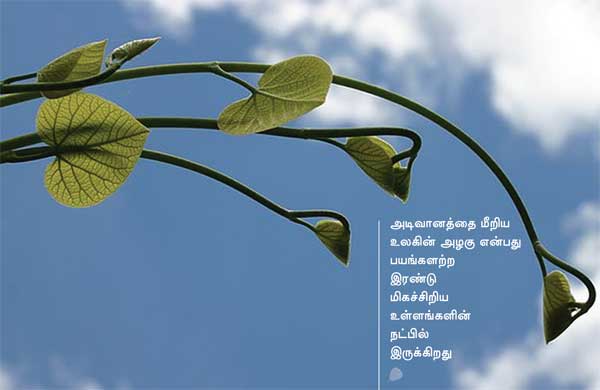 Tamil | Arivumathi | Poem | Friendship | Natpukaalam