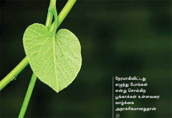 Tamil | Arivumathi | Poem | Friendship | Natpukaalam
