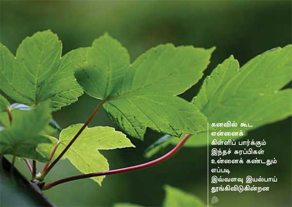 Tamil | Arivumathi | Poem | Friendship | Natpukaalam