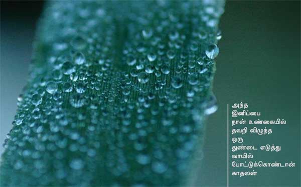 Tamil | Arivumathi | Poem | Friendship | Natpukaalam