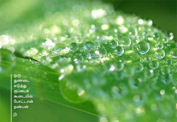 Tamil | Arivumathi | Poem | Friendship | Natpukaalam