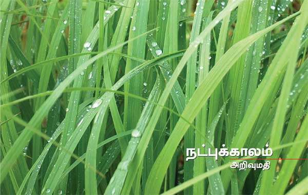 Tamil | Arivumathi | Poem | Friendship | Natpukaalam